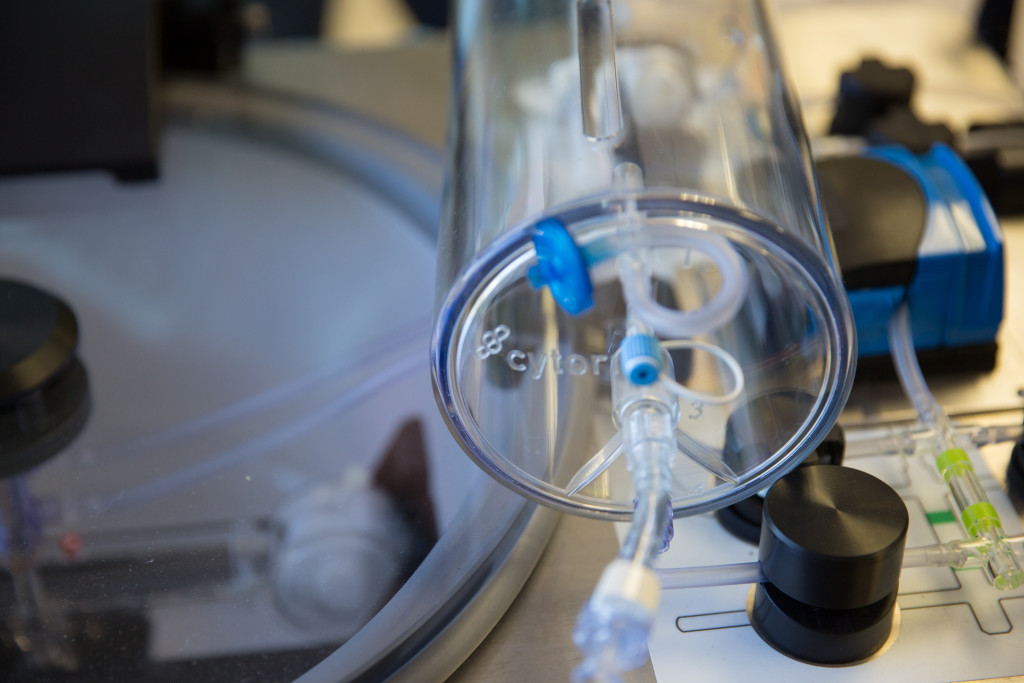 3Y0A7986 - Lorem Cytori